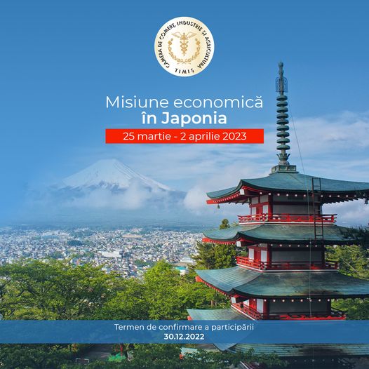 CRAFT - Centrul Regional de Afaceri Timișoara - Camera de Comerț Timiș